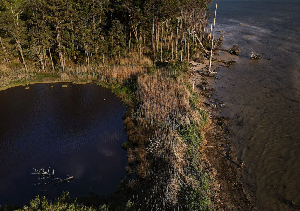 Dutchman Point – WaterAdaptationEconomy.org