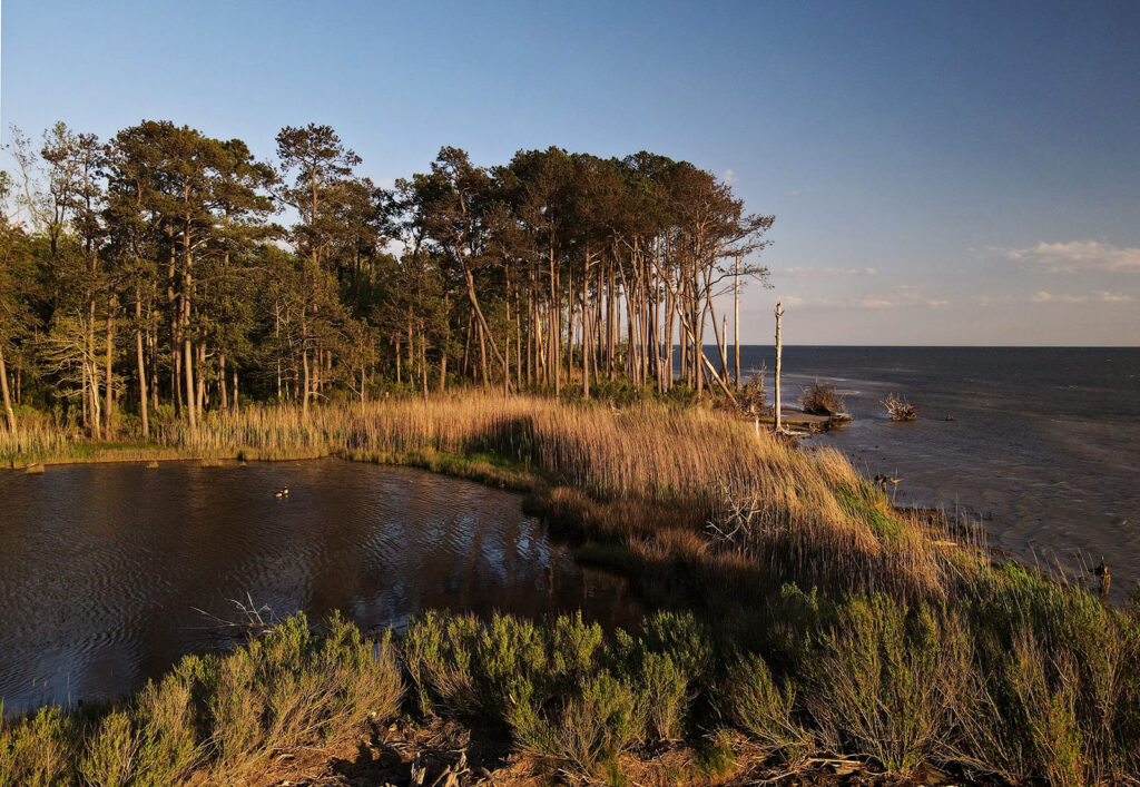 Dutchman Point – WaterAdaptationEconomy.org