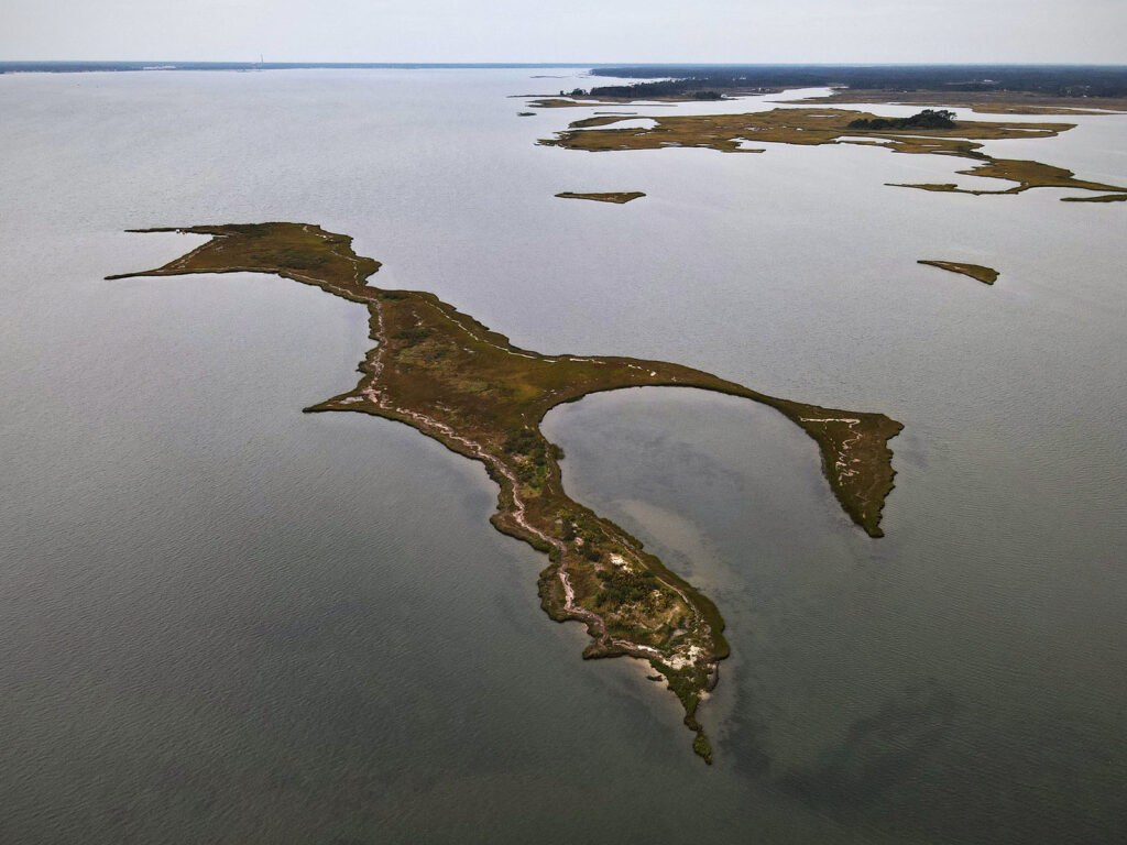 Guinea Marsh Islands – WaterAdaptationEconomy.org