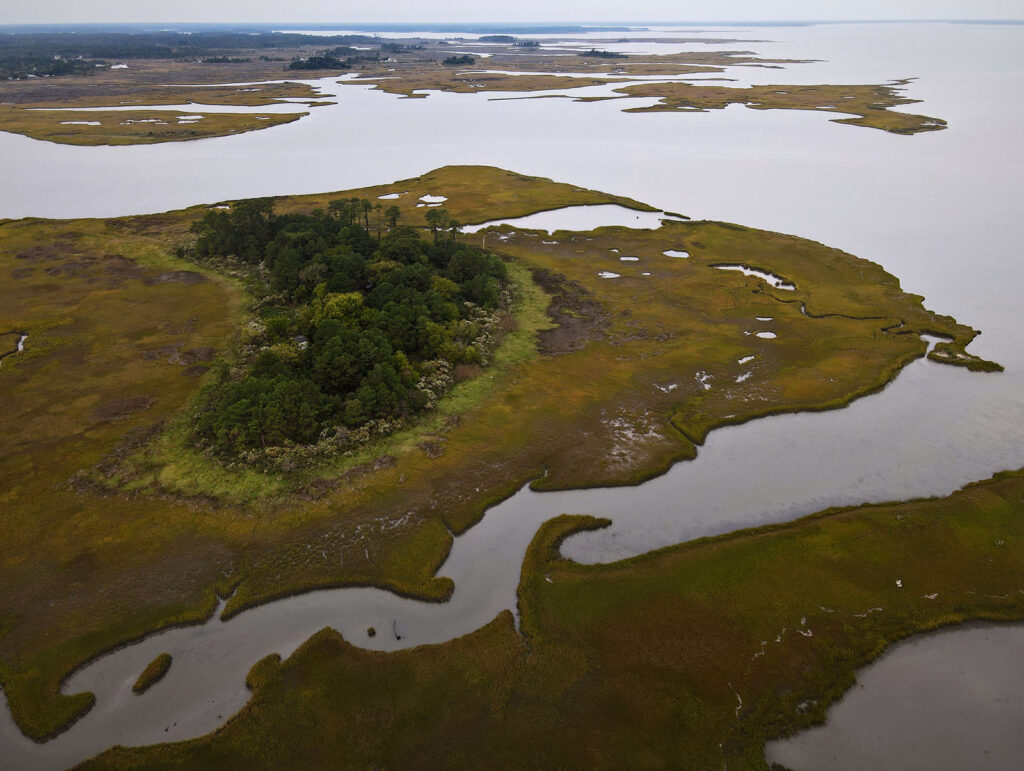 Guinea Marsh Islands – WaterAdaptationEconomy.org