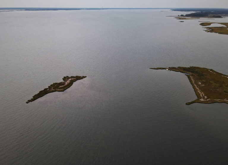 Guinea Marsh Islands – WaterAdaptationEconomy.org