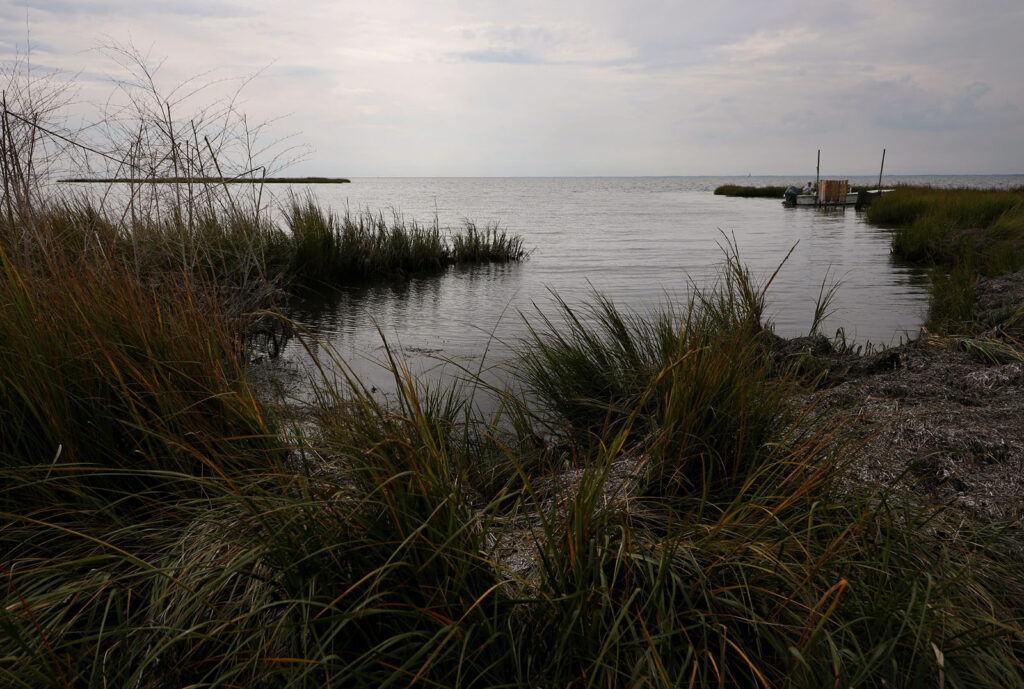Guinea Marsh Islands – WaterAdaptationEconomy.org