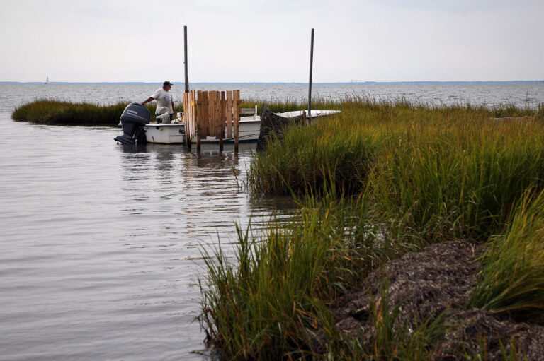 Guinea Marsh Islands – WaterAdaptationEconomy.org