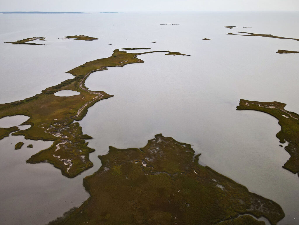 Guinea Marsh Islands – WaterAdaptationEconomy.org