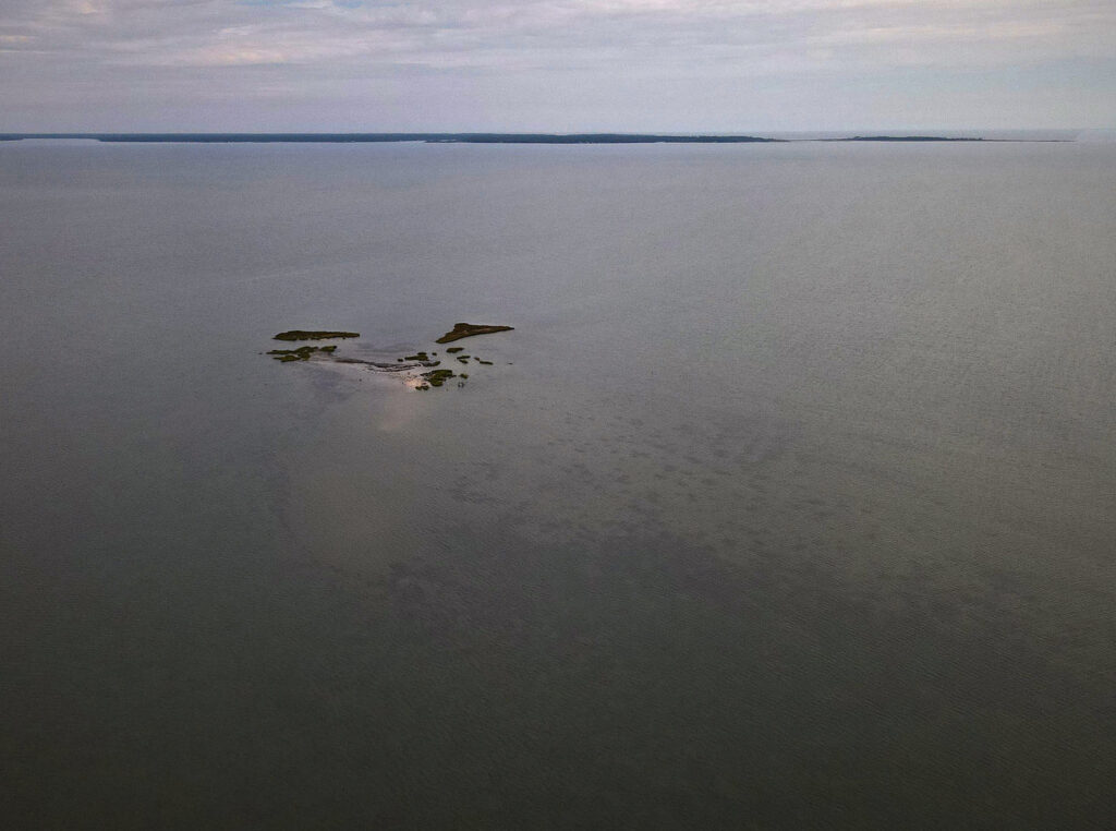 Guinea Marsh Islands – WaterAdaptationEconomy.org