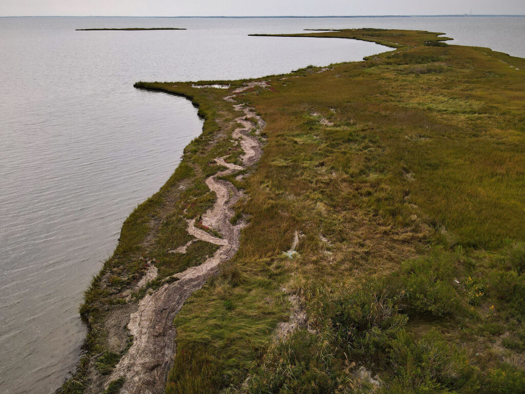 Guinea Marsh Islands – WaterAdaptationEconomy.org