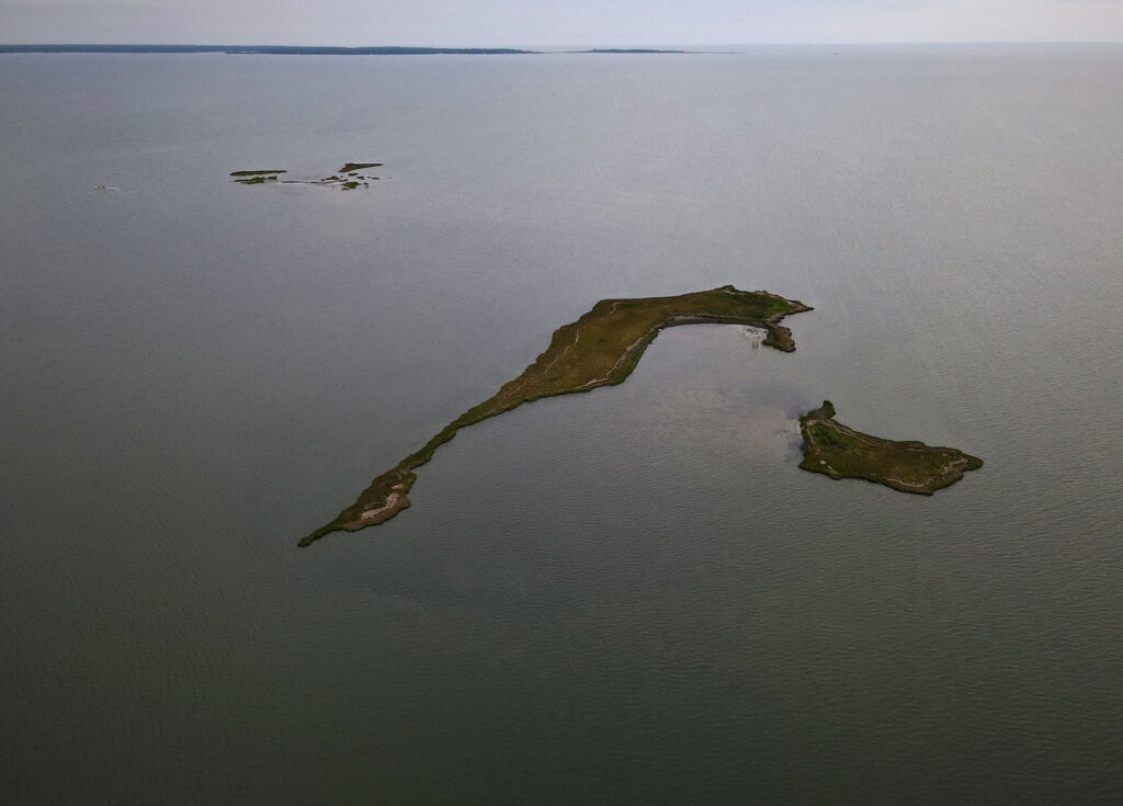 Guinea Marsh Islands – WaterAdaptationEconomy.org