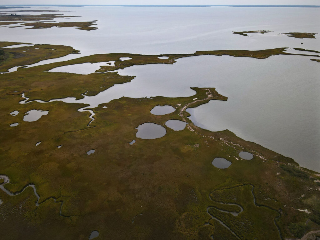 Guinea Marsh Islands – WaterAdaptationEconomy.org