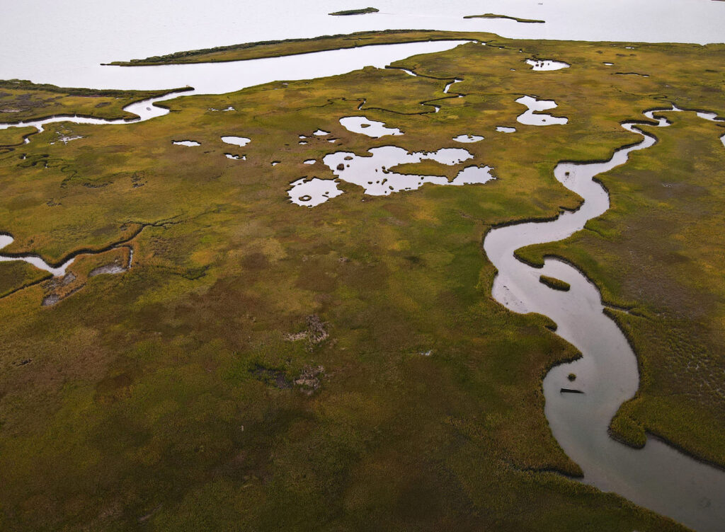 Guinea Marsh Islands – WaterAdaptationEconomy.org