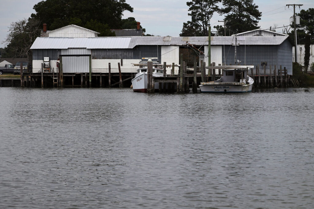 Guinea Marsh Islands – WaterAdaptationEconomy.org