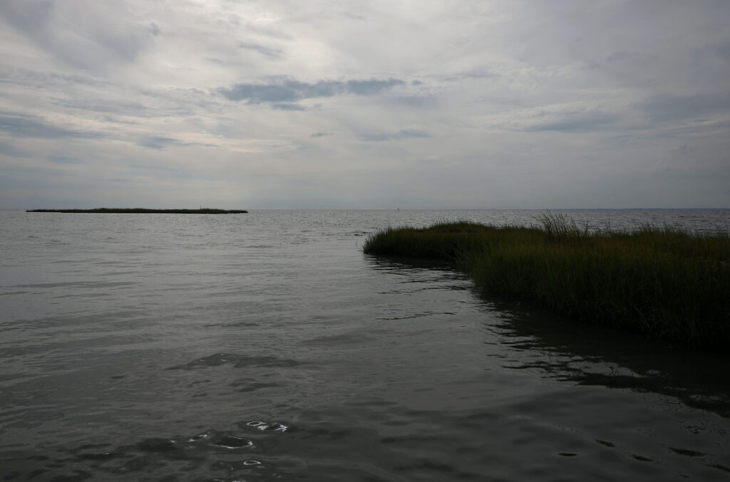 Guinea Marsh Islands – WaterAdaptationEconomy.org