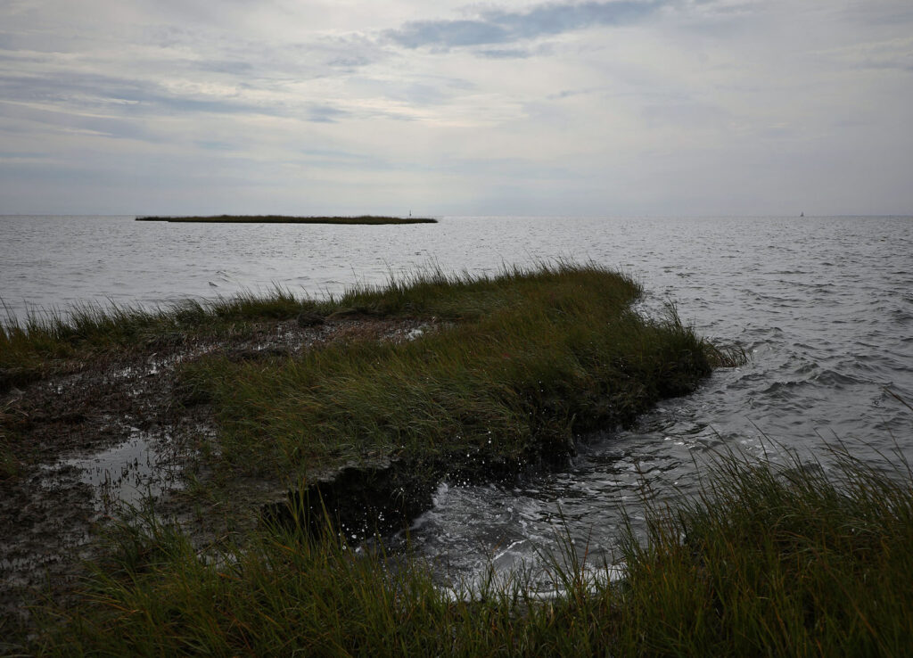 Guinea Marsh Islands – WaterAdaptationEconomy.org