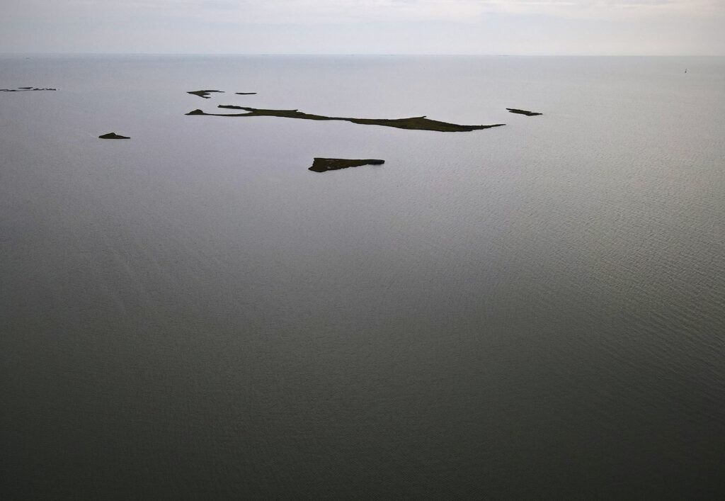 Guinea Marsh Islands – WaterAdaptationEconomy.org